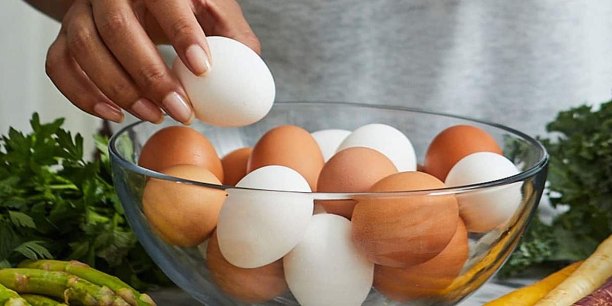 IGA Partners with the American Egg Board for Retailer Support and Shopper Eggucation